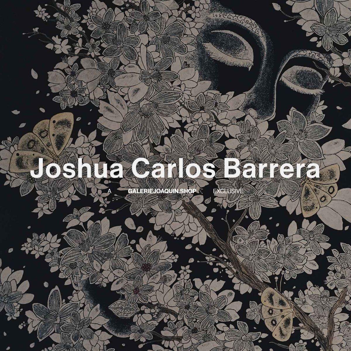 Joshua Carlos Barrera – Galerie Joaquin Collective
